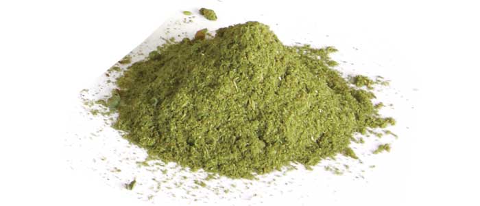 Oregano | Caliskan Agriculture