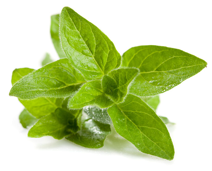 Otlar, Baharat ve Esansiyel Yağlar | Caliskan Tarım